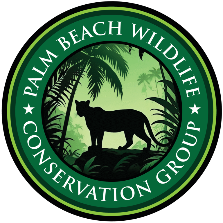 Palm Beach Wildlife Conservation Group